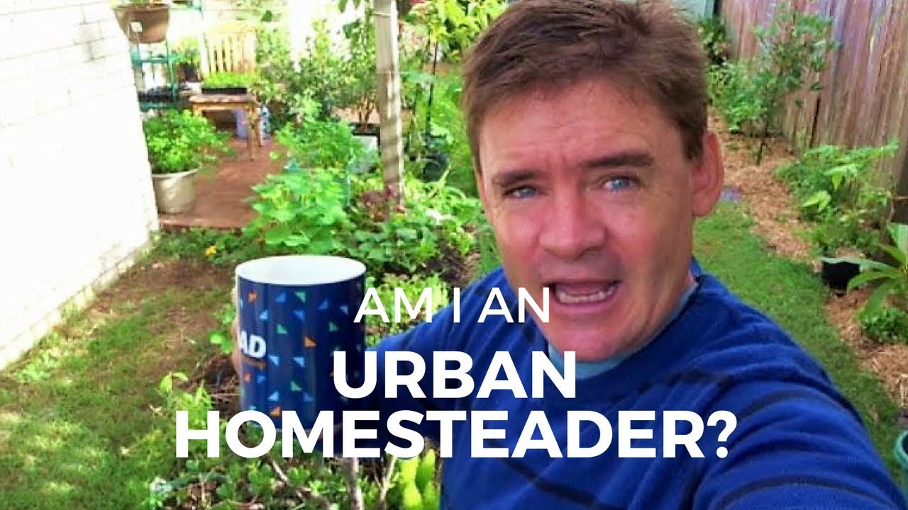 Am I An Urban Homesteader Yet? - YouTube