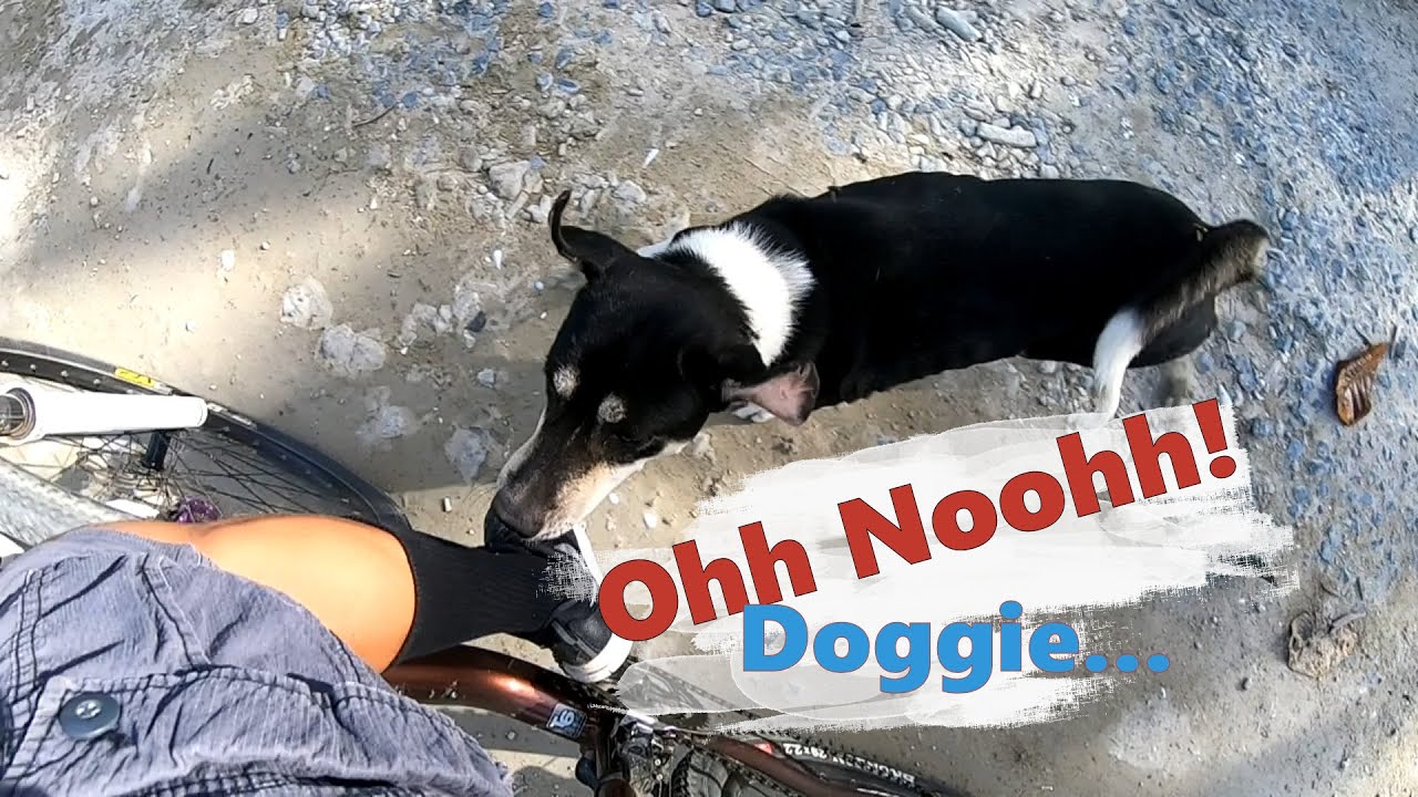 AMAZING ADVENTURE VLOG#1 Biking in CHUUK ALONE - From Weno town to ...