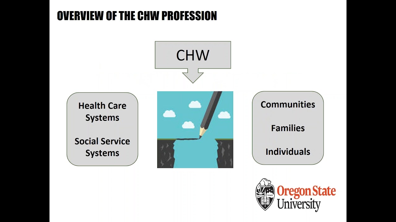 Community Health Worker Program Webinar - YouTube