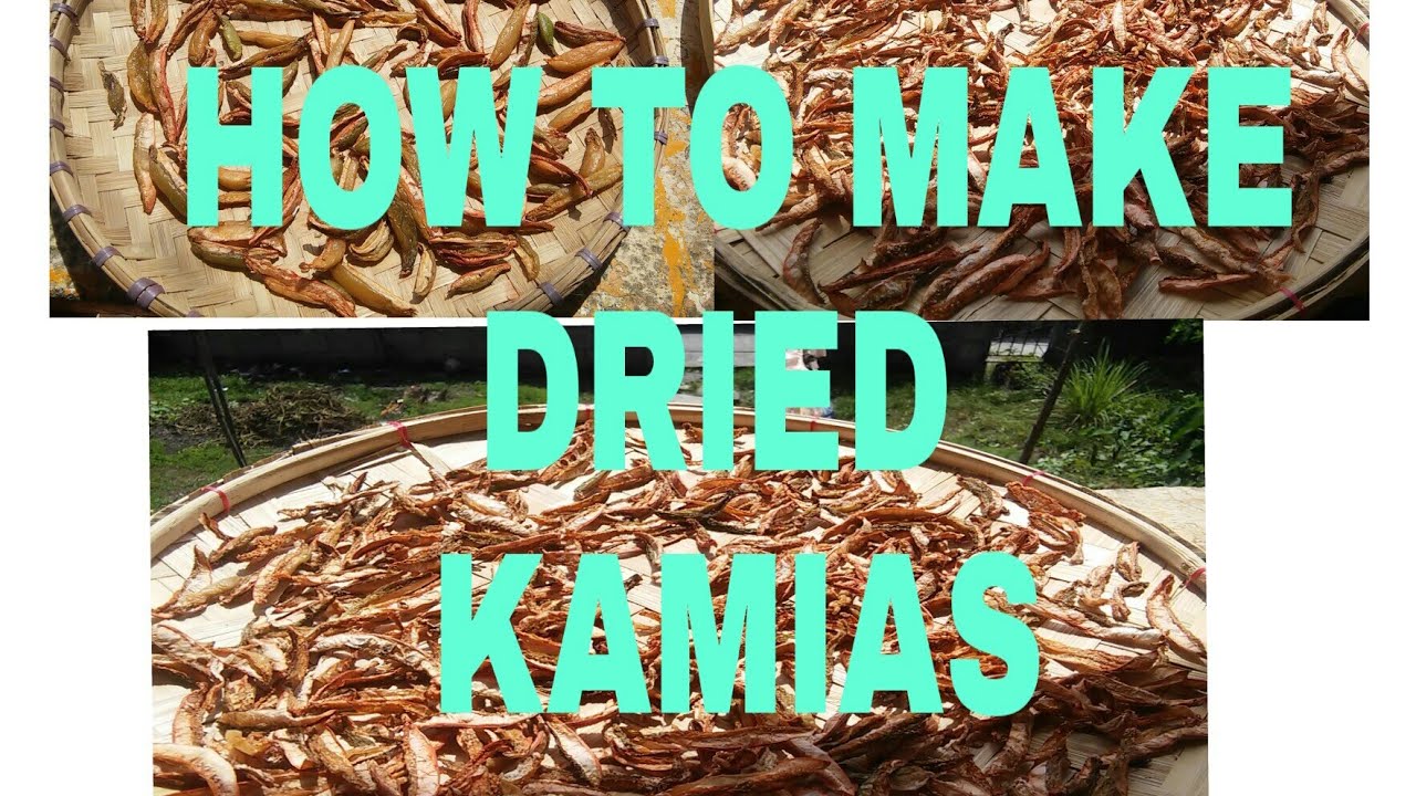 HOW TO DRIED YOUR KAMIAS - YouTube