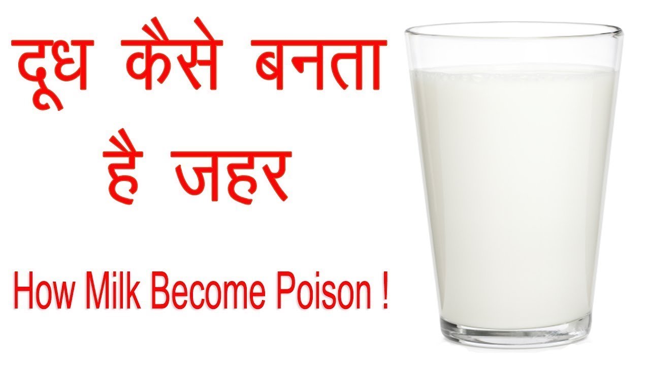 How Does Milk Become Poison दूध कब और कैसे ज़हर बन जाता हैं - YouTube