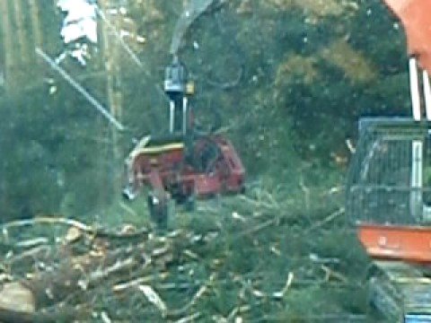 waratah head logging - YouTube