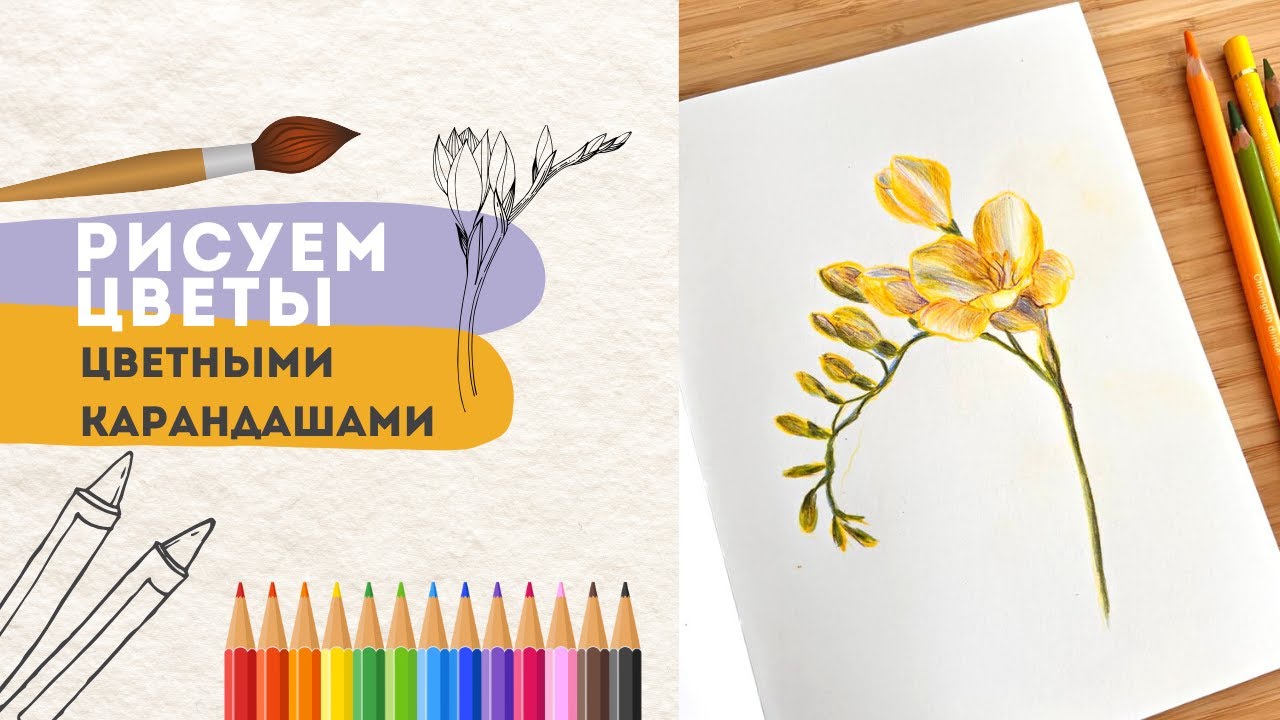 ВЕСЕННИЙ скетчинг Рисуем цветы ЦВЕТНЫМИ КАРАНДАШАМИ поэтапный урок