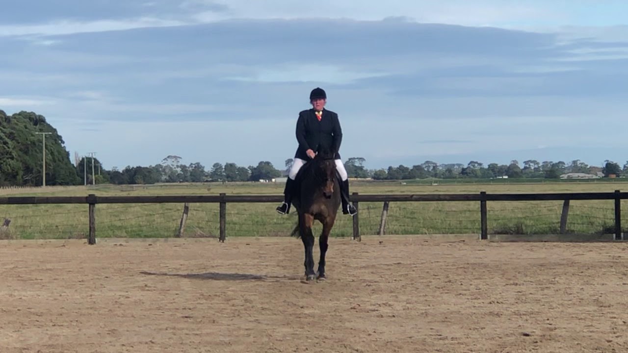 ORS Digital Dressage 2020. 1B - YouTube