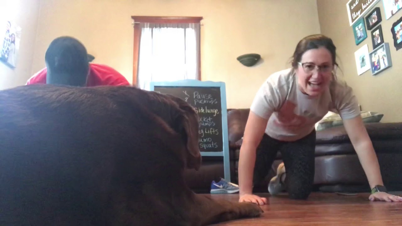 Mrs. Matson’s E-Learning Bootcamp Day 10 - YouTube