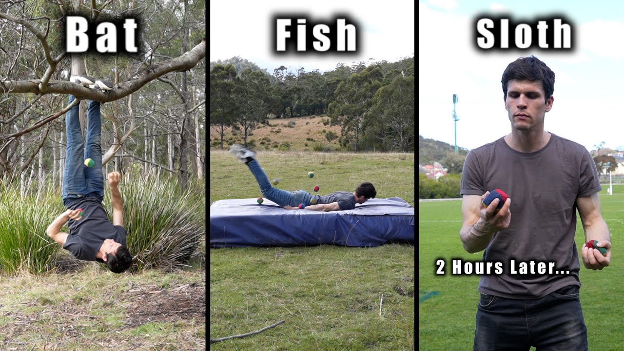 How Different Animals Would Juggle (Part 1-2 Compilation) - YouTube
