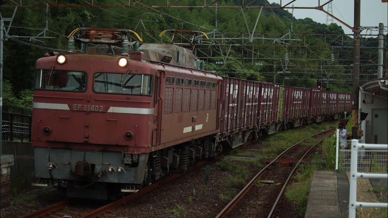 EF81 403 貨物列車 - YouTube