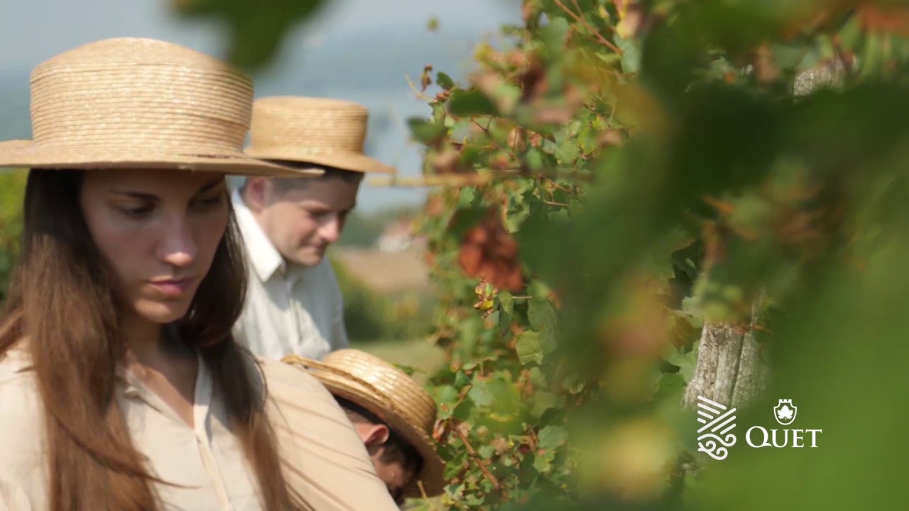 Fruškogorski vinogradi promo video - YouTube