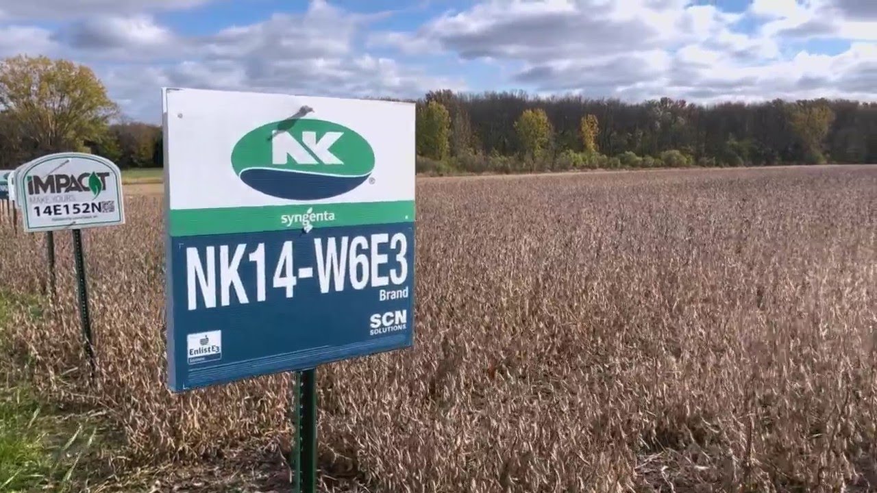 Reviewing test plot data - YouTube