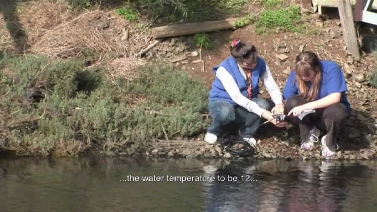 Two rivers, two islands, one future (KICE - Kingscote Campus) - YouTube