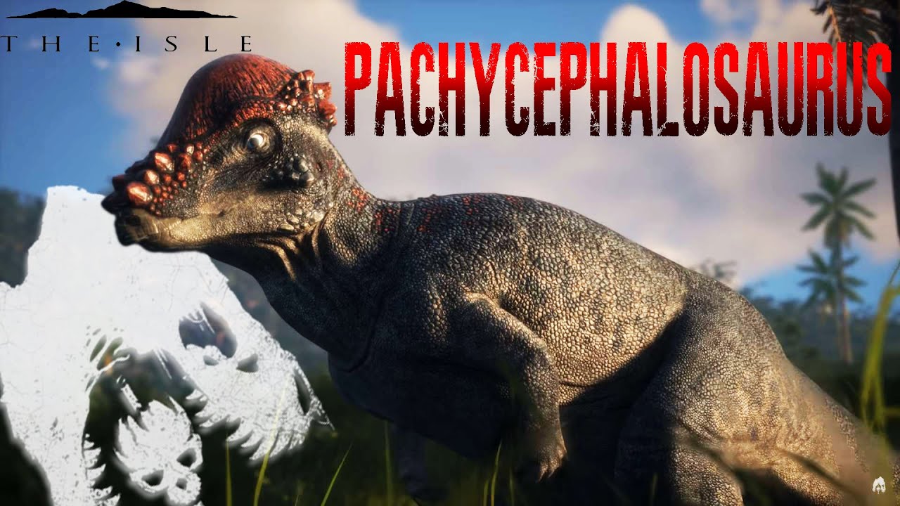 Will Our Pachy Survive To The End?! - The Isle Evrima Gameplay - YouTube
