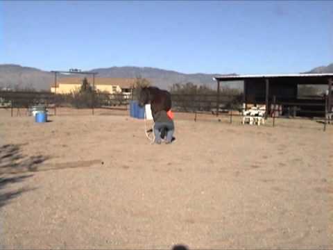 Sally Manshardt and Rosie Parelli Level 2 On Line Audition 2011 - YouTube