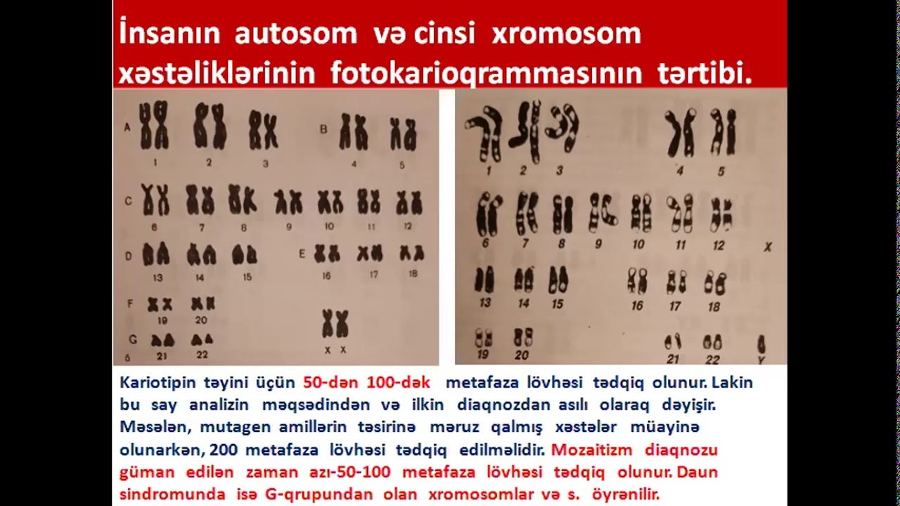 xromosomlar - YouTube