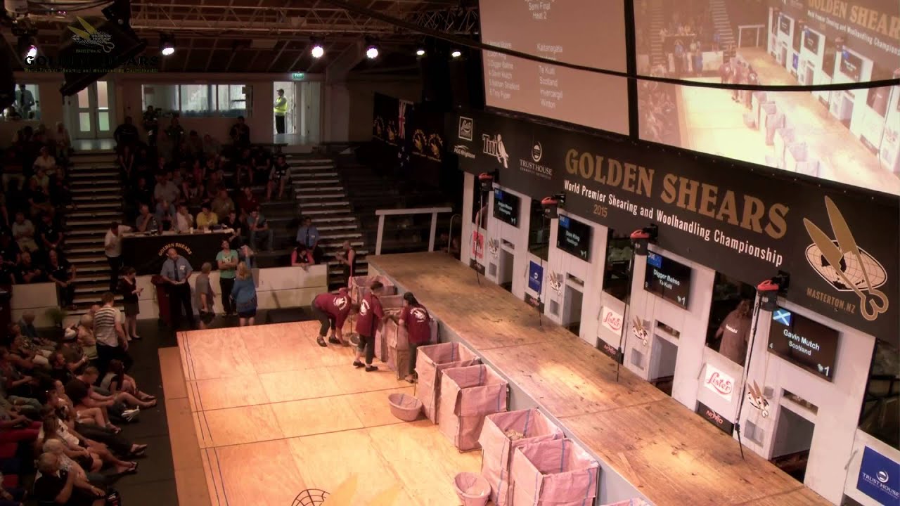 Open Shearing Semi Final - 2015 Golden Shears - YouTube