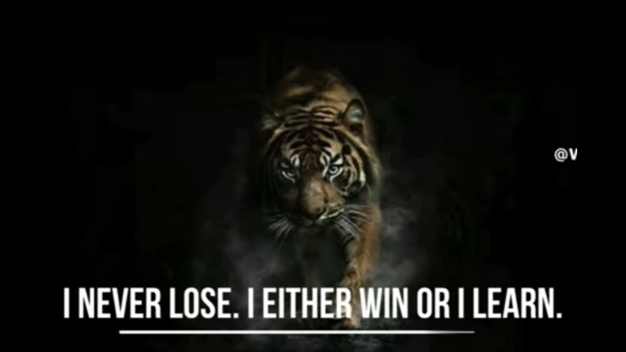 TIGER ATTITUDE STATUS 😈😈 - YouTube
