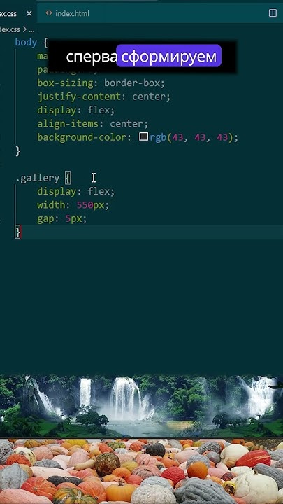 Красивая галерея на Html и Css за 20 секунд Frontend Html Css Javascript Web фронтенд