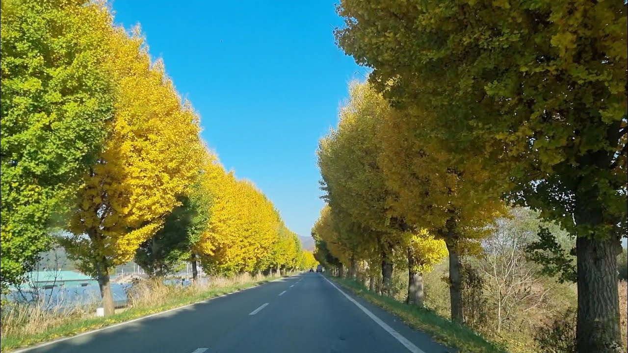 [Care for Nature] Super fresh and super clean invironment #autumn - YouTube