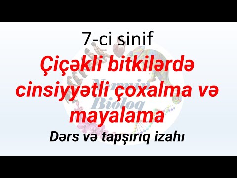 Biologiya 7-ci sinif Çiçəkli bitkilərdə cinsiyyətli çoxalma. Mayalanma