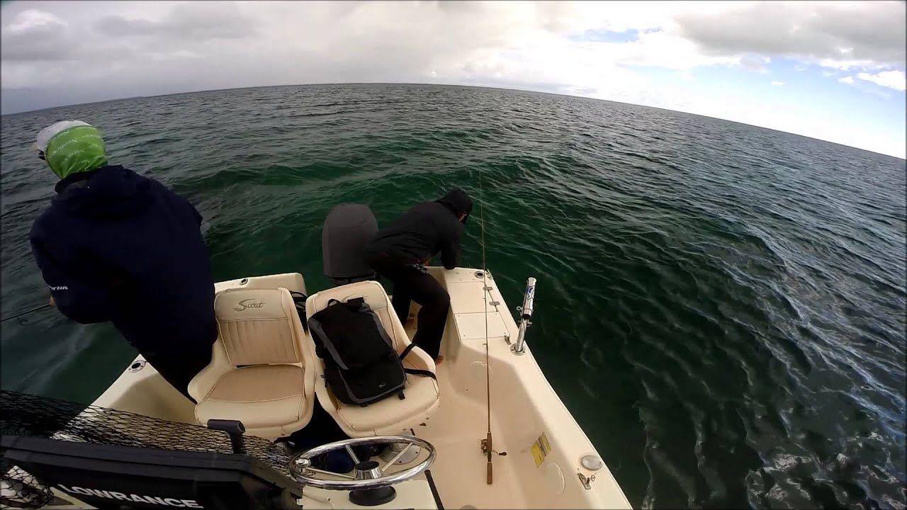 Winter Squid - YouTube