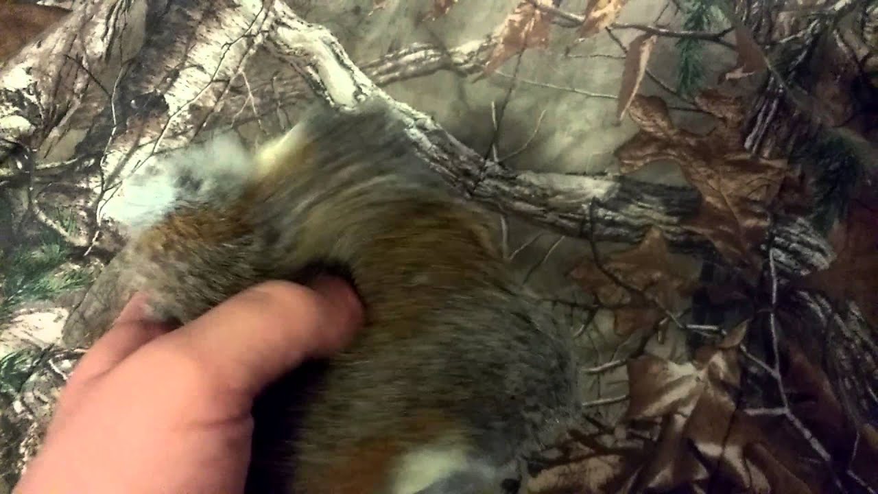 My squirrel hide pouch - YouTube