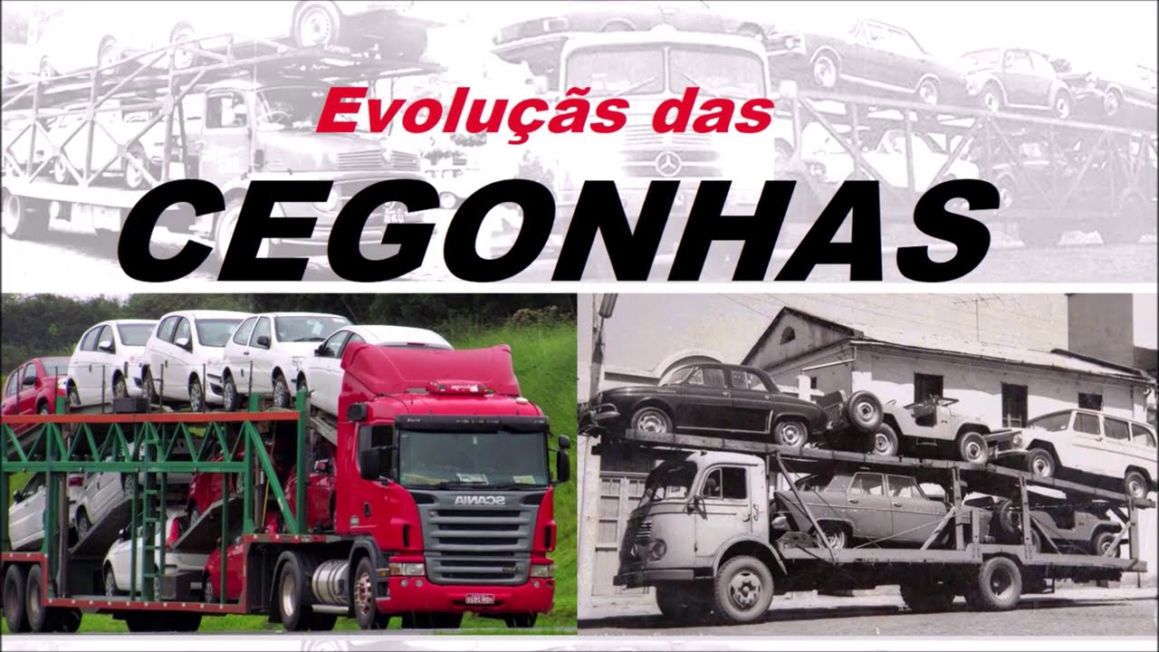 História das Cegonhas - YouTube