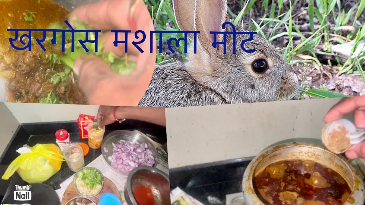 Rabbit gravy!! Prepared by me | spicy #Rabbit gravy!! Side dish Recipe ...