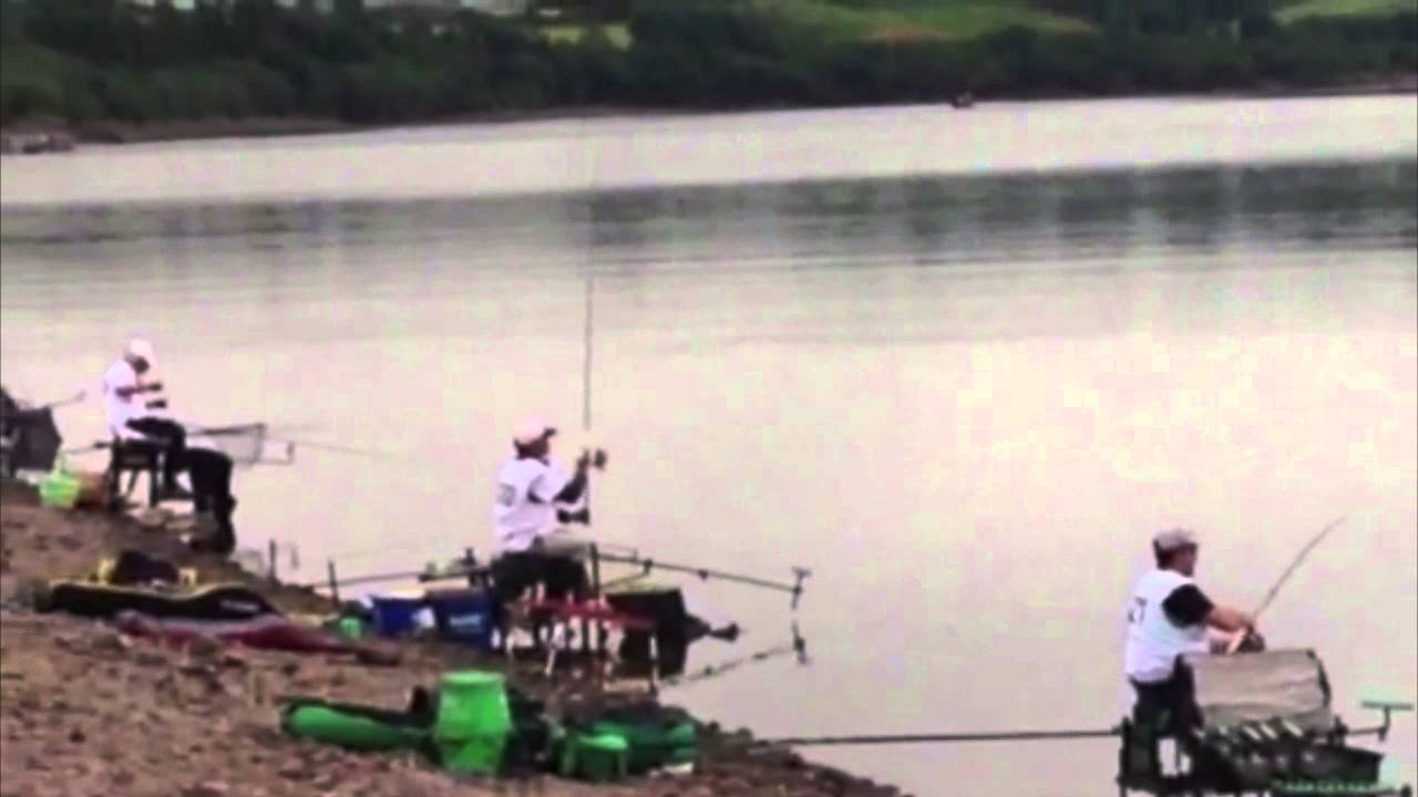 The 4th World Feeder Fishing Championships at Inniscarra Lake - YouTube