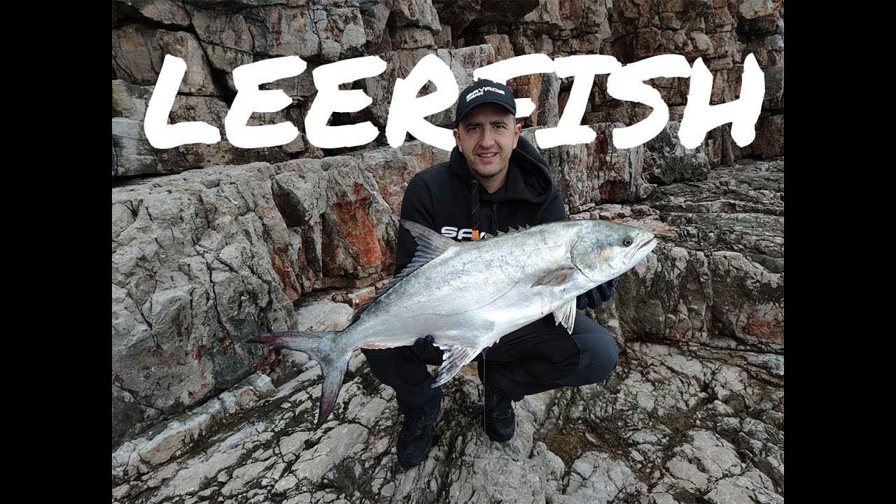 Shore Jigging - Big Leerfish solo fishing (Lichia Amia) - YouTube