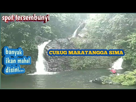 Mancing di CURUG MARATANGGA || SPOT IKAN WADER DAN RAGALAN ||  PESONA nyA PEMALANG indah banget...