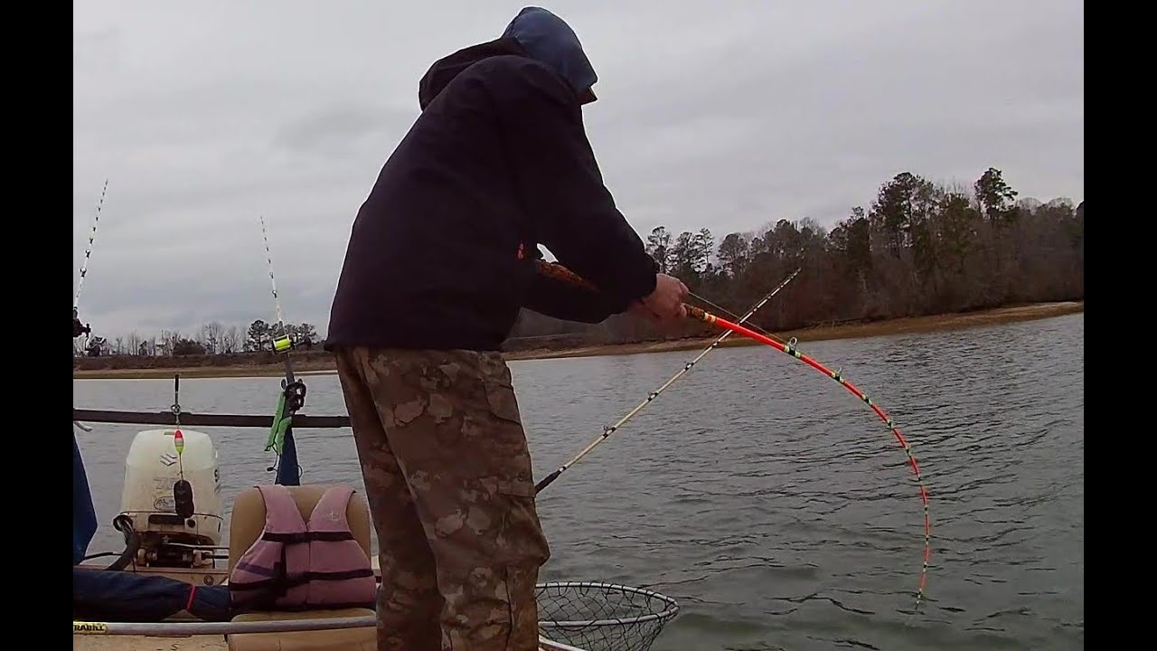 The Skunk Left with Randy! - YouTube