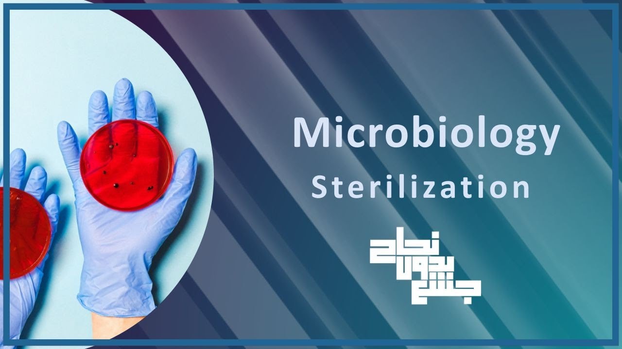 pract 2, sterilization , micro - YouTube