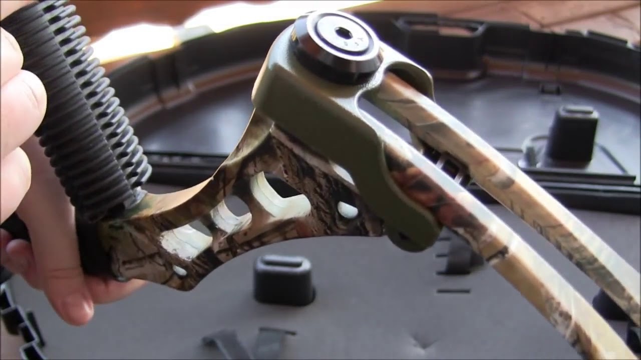 Bear Archery Charge Compound Bow | BogenSportHotel Bad in Eisenbach im ...