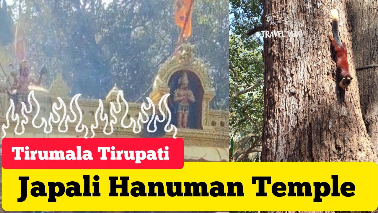 Japali Theertham Tirumala | Japali Hanuman Temple at Tirumala Tirupati ...