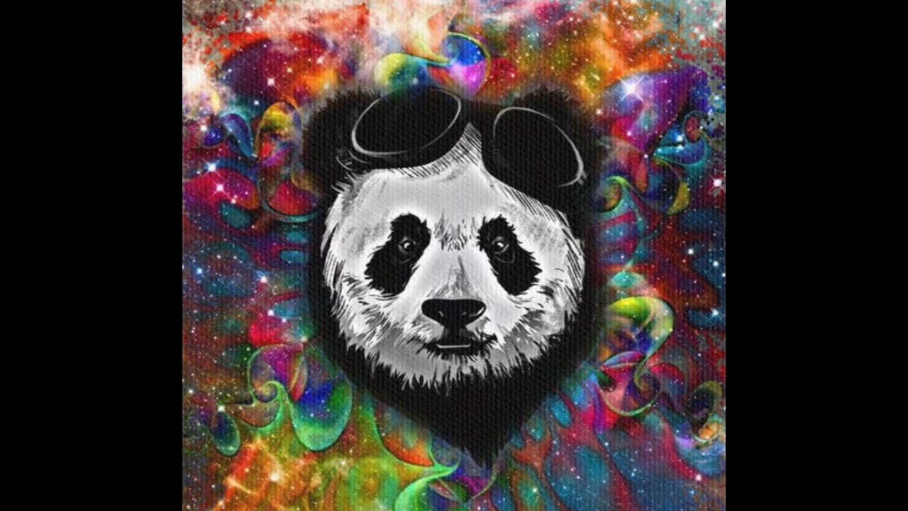 Flash Panda - Dead Set - 2/16/24 - Live @ The Tophat, Missoula, MT ...