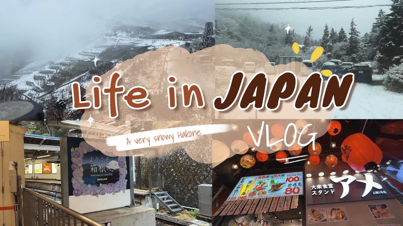 Life in Japan | Day 4. Hakone welcomed us with ️ | Tokyo Vlogs - YouTube
