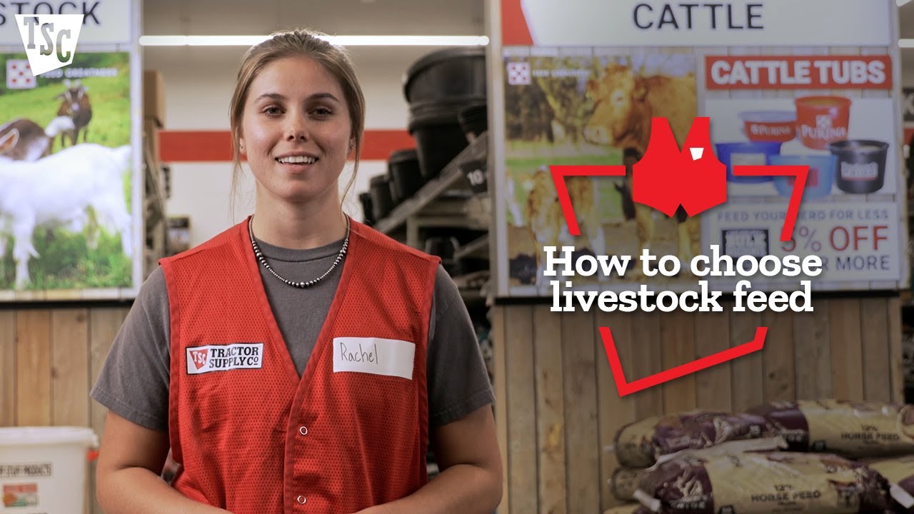 How to Choose Livestock Feed | Tractor Supply Co. - YouTube