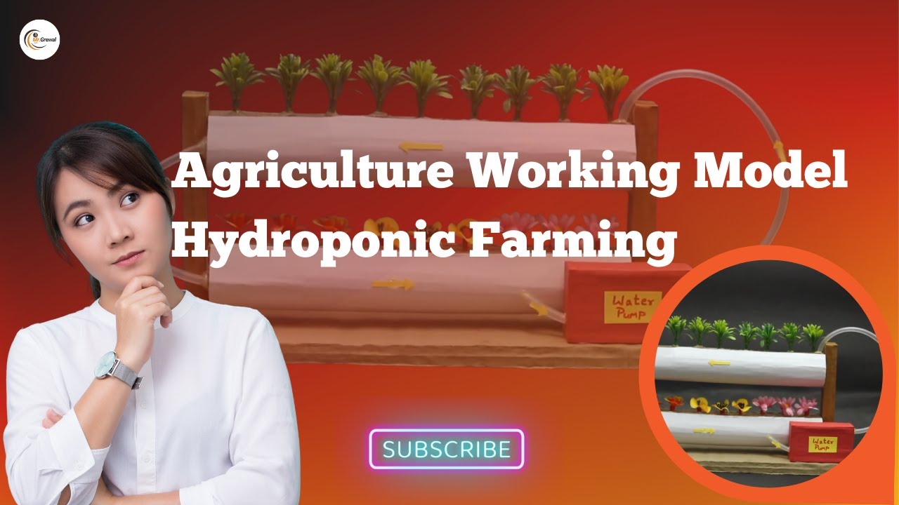 Agriculture Working Model Hydroponic Farming | Farming System | Mr ...