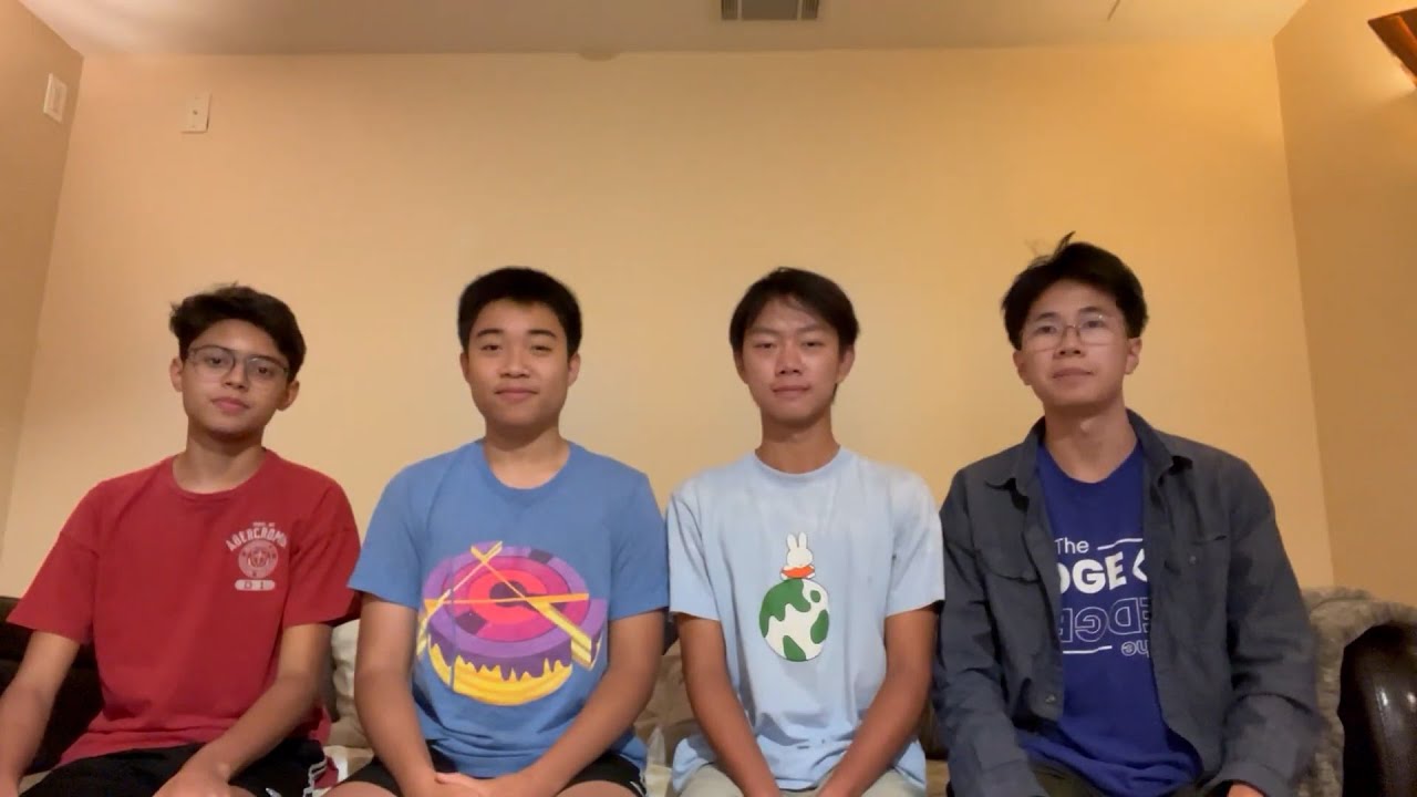 Naperville students win Congressional App Challenge with EcoSense app - YouTube