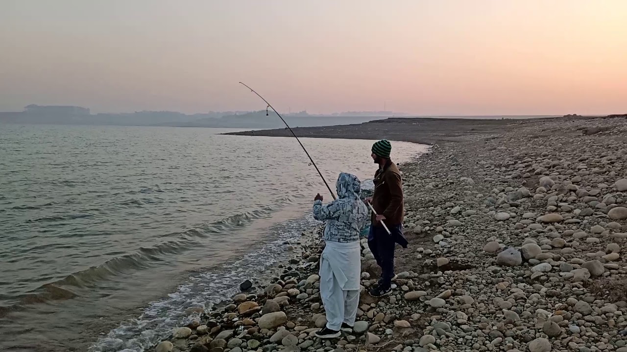 Gulfam Fish - YouTube