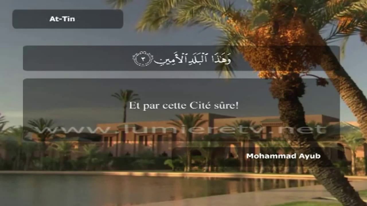 Sourate At Tin Mohamed Ayoub 95 سورة التين محمد أيوب