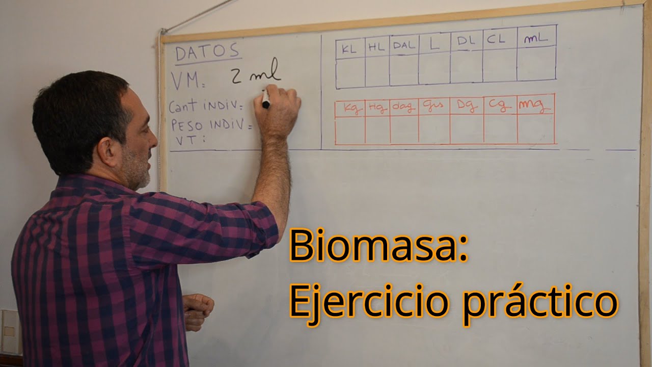 Biomasa ejercicio práctico - YouTube