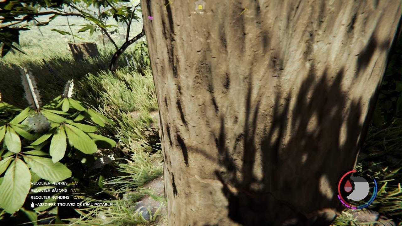 The Forest Ps5 "En Coop 39" - YouTube