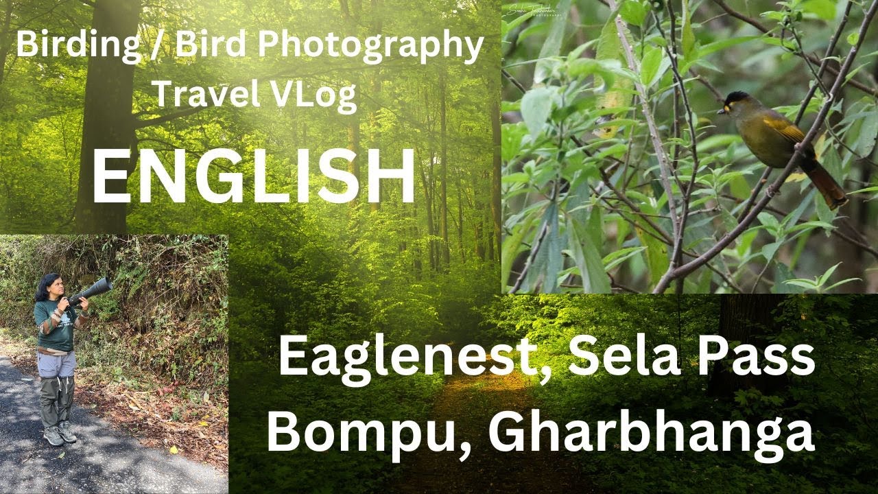 English Vlog | Eaglenest | Sela Pass | Bompu | Gharbhanga Birding - YouTube