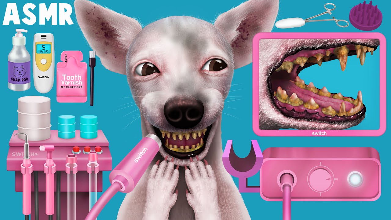 [ASMR|스톱모션] Homeless puppy transformation | teeth scaling | ear ...