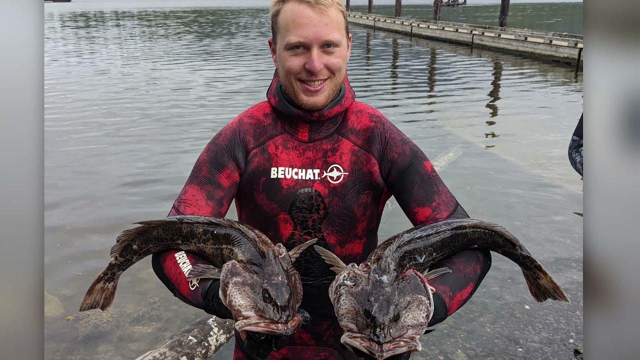 Vancouver Island Spear fishing September 2021 -Lingcod - YouTube