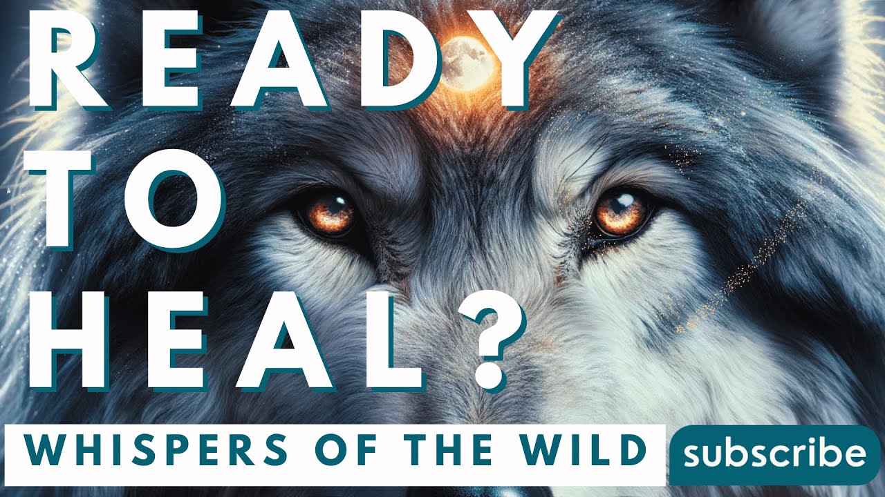 READY TO HEAL GRIEF IN THE FOREST? MOONLIT WOLF CLAN🌲🌕 (GUIDED ...