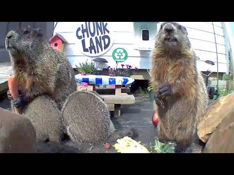 Season 5 Chunks! - YouTube