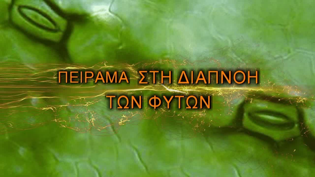 ΔΙΑΠΝΟΗ - ΠΕΙΡΑΜΑ ΣΤΗ ΔΙΑΠΝΟΗ ΤΩΝ ΦΥΤΩΝ - YouTube