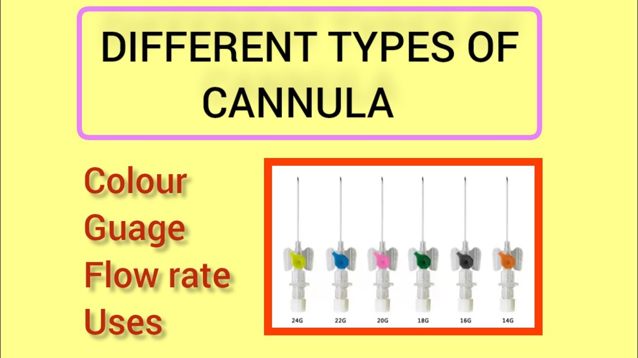 DIFFERENT TYPE OF IV CANNULA | NURSING INFORMATION | #nursingrockers ...