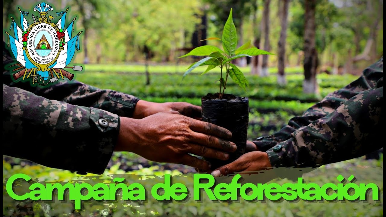 Campaña De Reforestación Ffaa 2022 Youtube